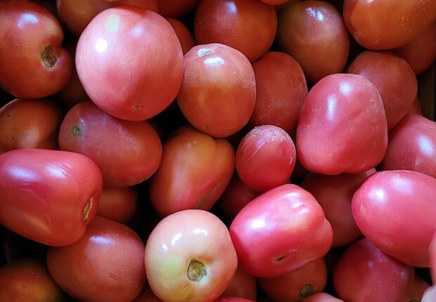 Odmiany pomidor, ogórek, sałata papryka i inne - HA 3726 F1 (Pink Soul ...